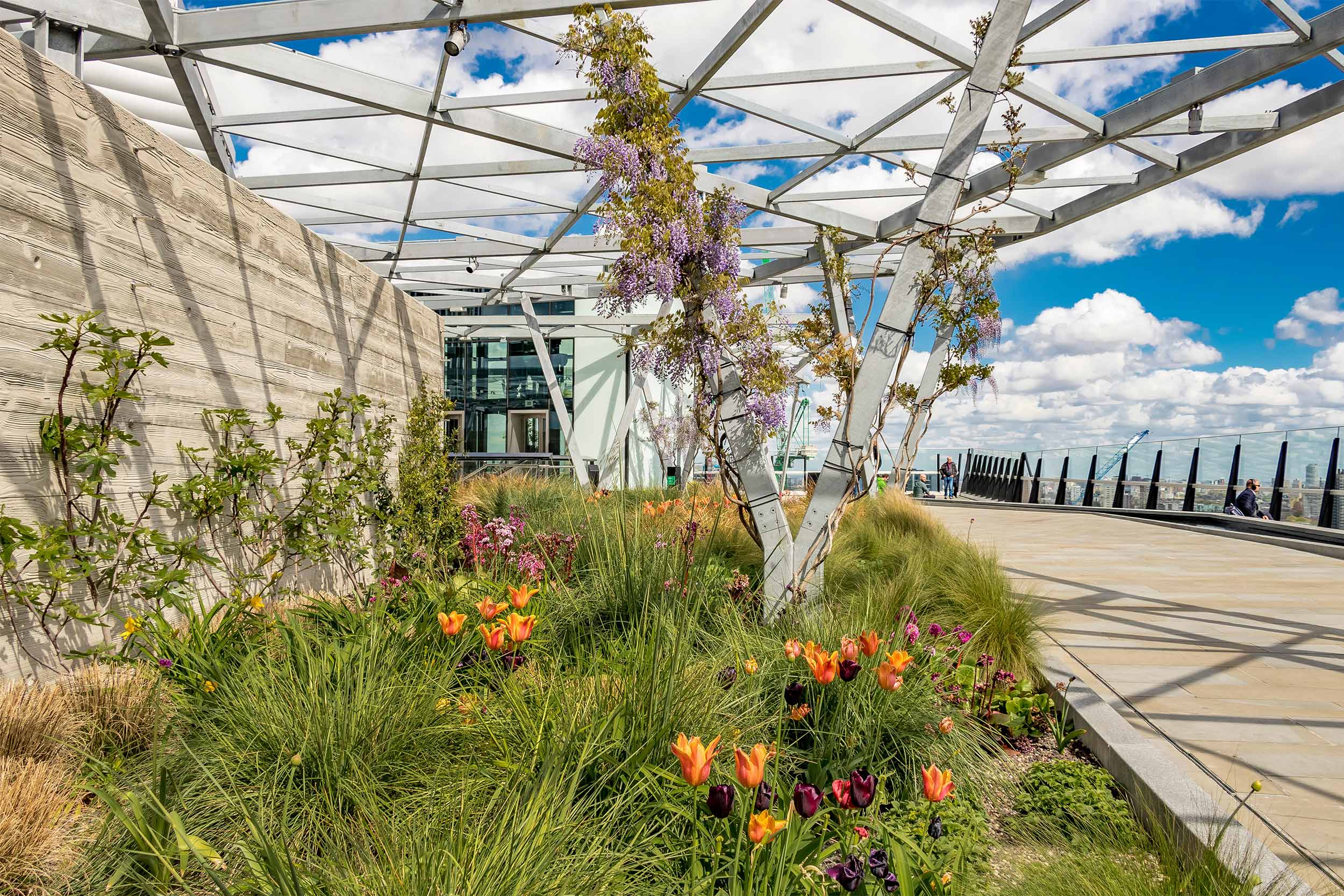 Roof Terrace Builders Contractors Specialist Roofers in London